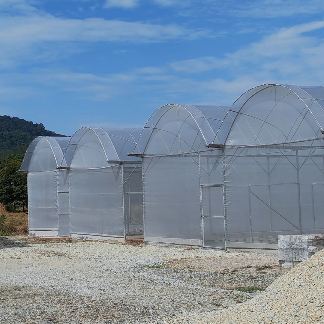 Construction of a Permanent Rain Shelter for Outdoor Activities - My ...